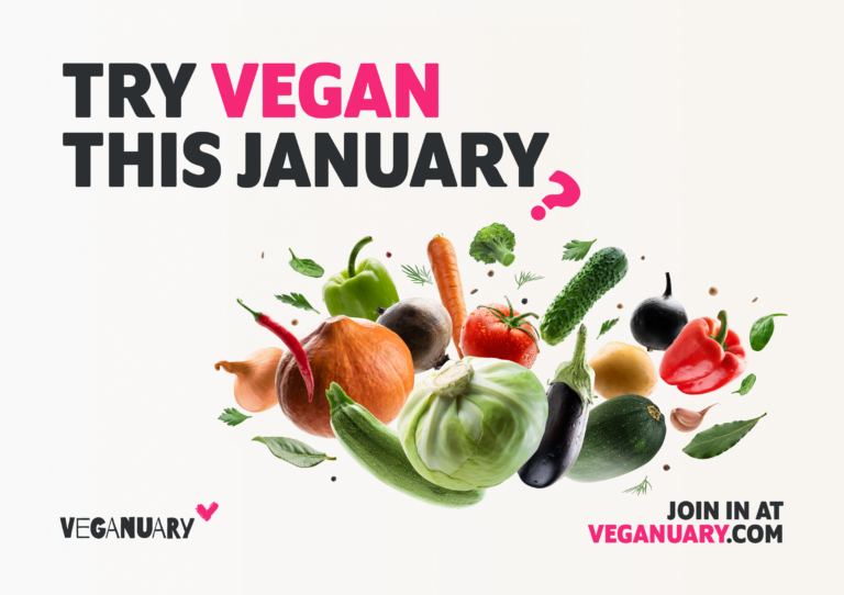 Veganuary 2025: how brands are shaping a greener future - Envi.info